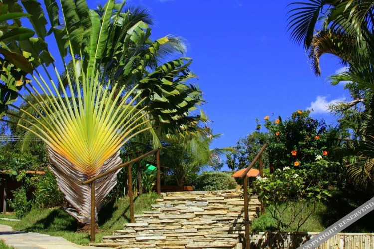 Pousada Flores Do Cerrado - Pirenópolis