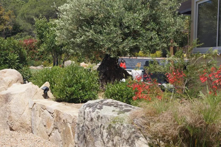 Les Jardins De Santa Giulia - Charmante Chambre D'hôte 2 - Corsica