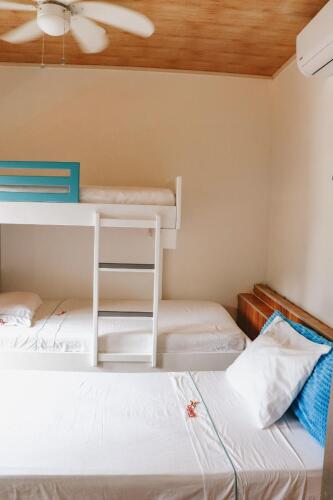 Chunuu Hostal Y Glamping Minca - Minca