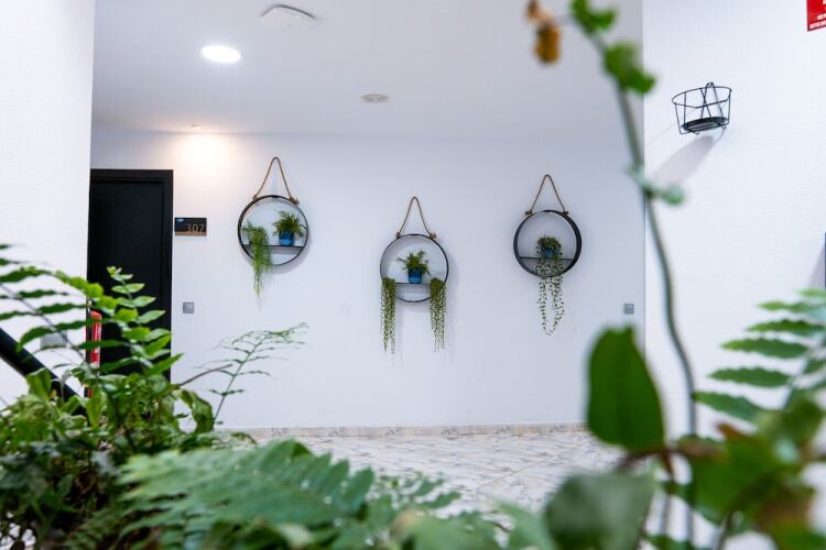Hotel Ventus - El Médano