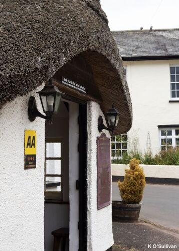 The New Inn - Devon