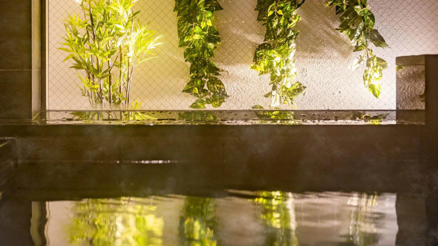 Super Hotel Echizen Takefu - 福井県