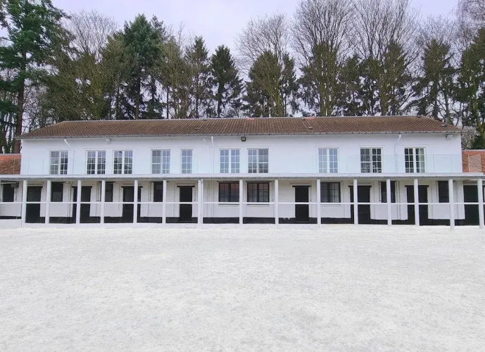 Royal Horses - Overijse