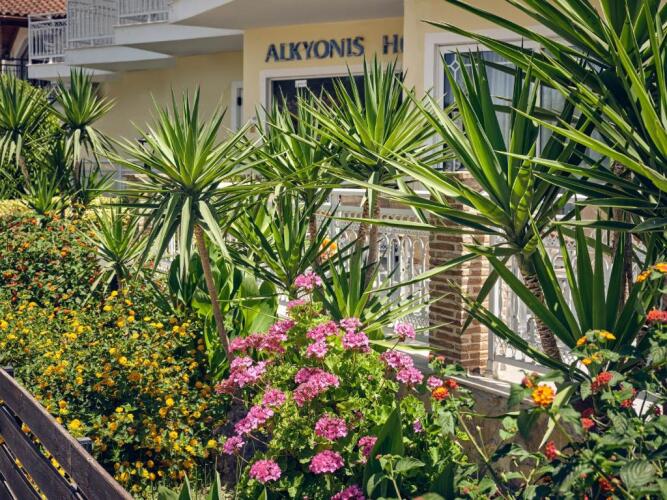 Alkyonis Hotel - Zante