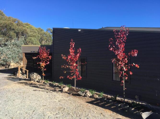 Altitude 1260 - Jindabyne