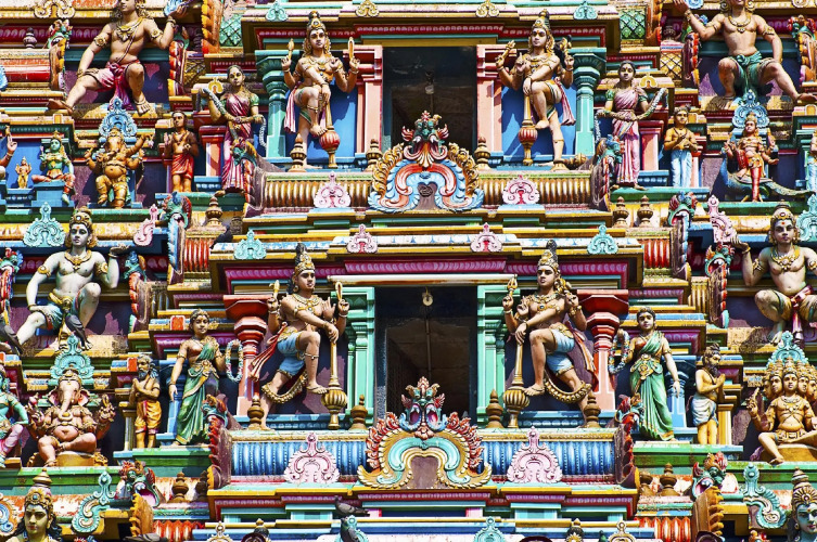 My Fortune - Chennai