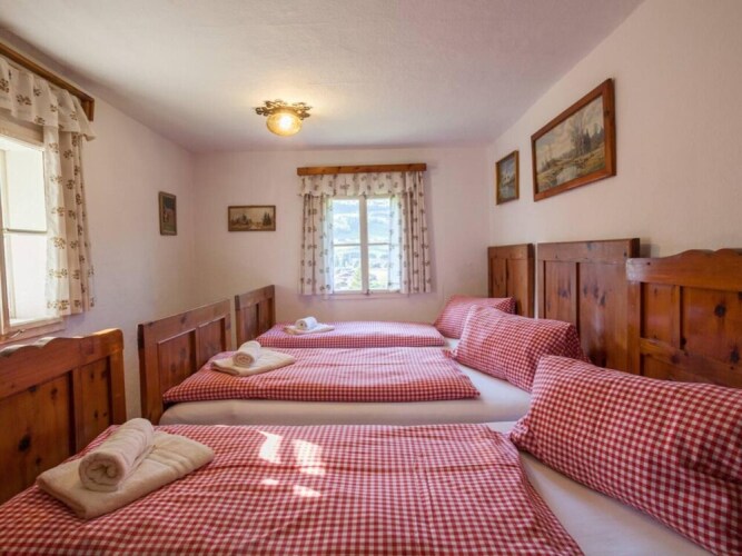 Alp-cottage For 15 Person Mountains Of Salzburg - Mittersill