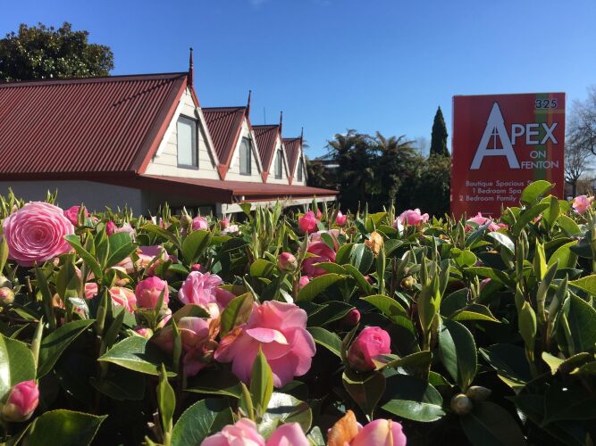 Apex On Fenton - Rotorua