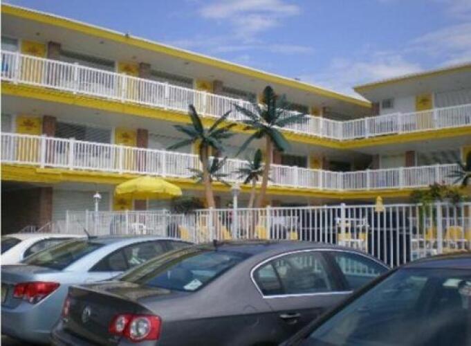 American Safari Motel - Stone Harbor, NJ