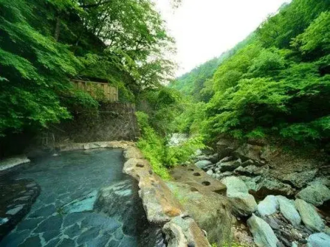 Yumori Tanakaya - Nikko