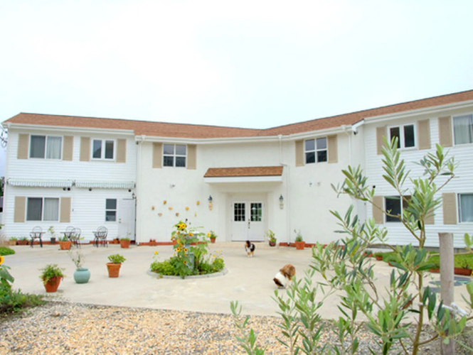 Hostellerie Avances Soiree - Minamiboso