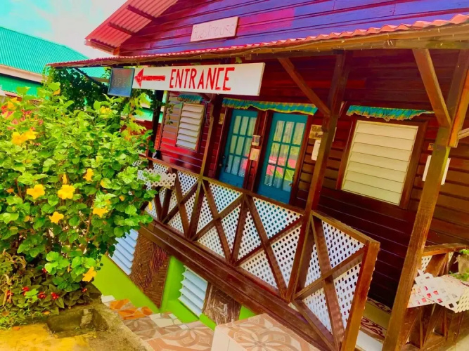 Le Petit Paradis - Roseau