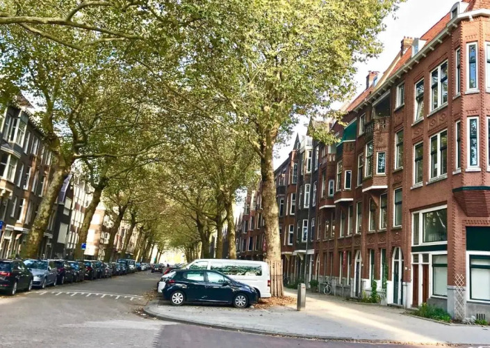 Bed And Breakfast Rotterdam - Rotterdam