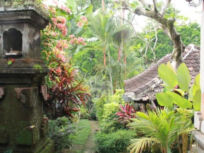 Aji Lodge - Ubud