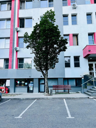 City Nest Maria - Baia Mare