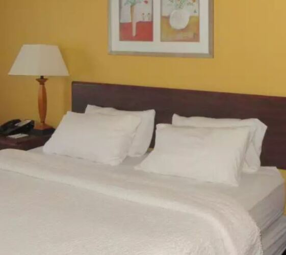 Quality Inn & Suites - 캘리포니아