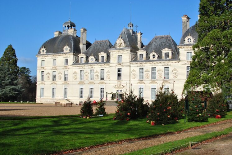 Le Tulipier De Virginie - Noyers-sur-Cher