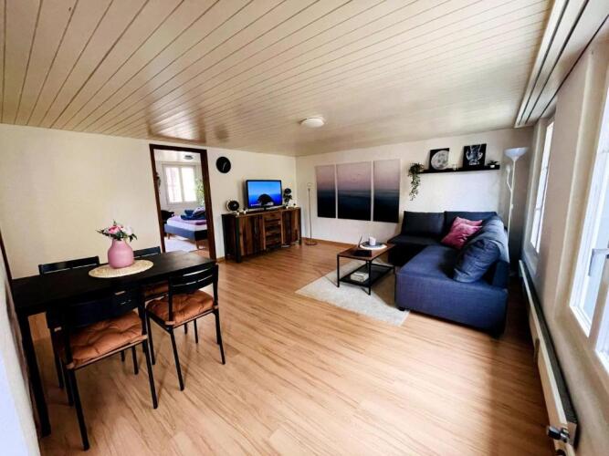Newly Furnished Beautiful Old Building Apartment In The Center With Apple Tv - Sankt Gallen