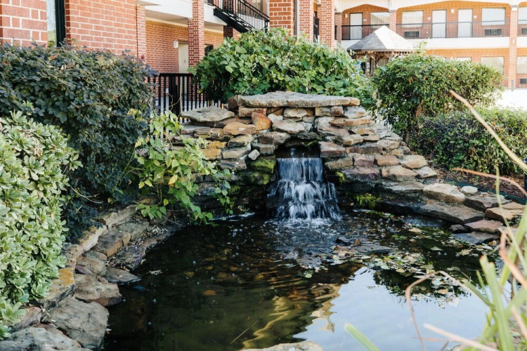 Winchester Inn & Suites Humble/iah/north Houston - Humble