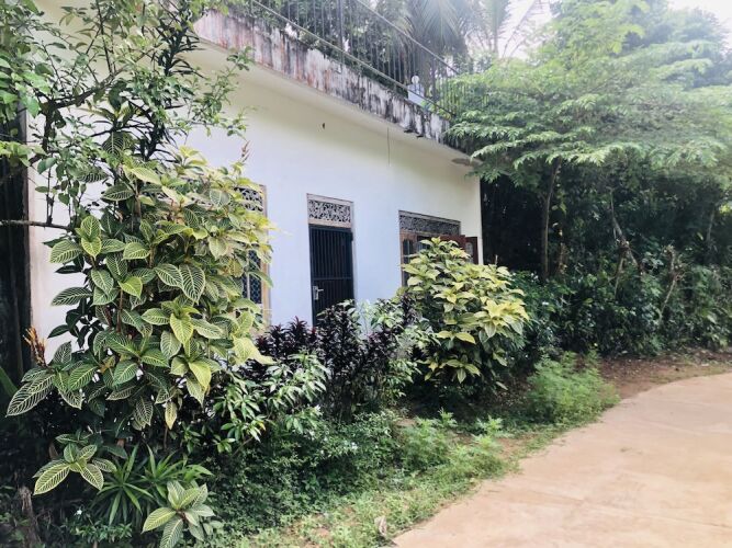 Thaaru Guest - Mirissa