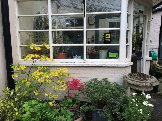 Orchard Club - Newton House - West Yorkshire