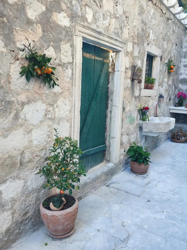 Peaceful House In Dubrovnik - Dubrovnik