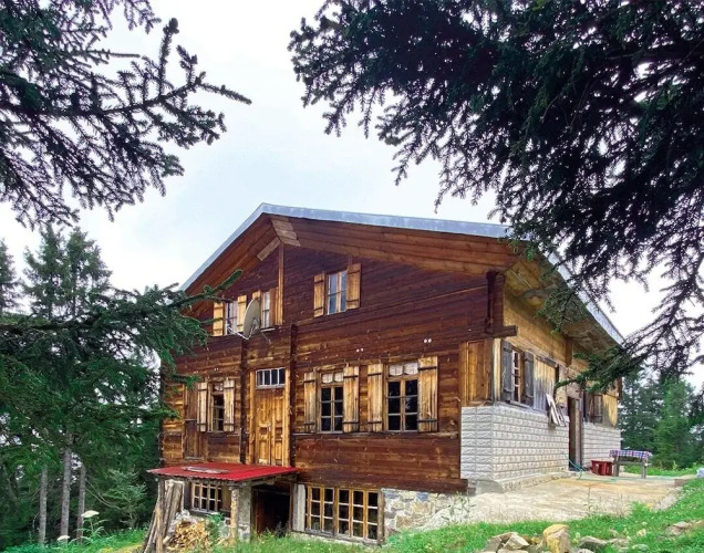 Demircioglu Pokut Dag Evi - Artvin