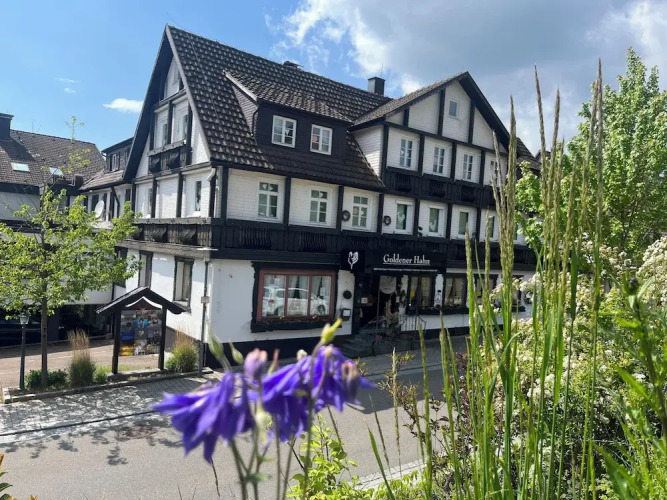 B&b Apart Hotel Goldener Hahn-guesthouse - Freudenstadt