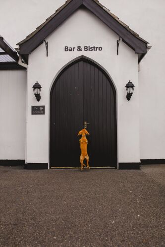 Inn On The Coast - Portrush