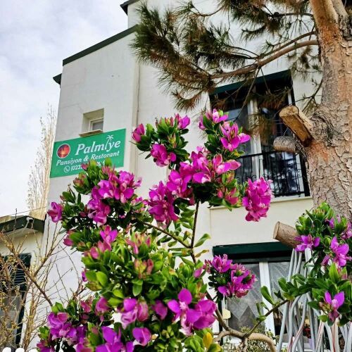 Palmi̇ye Pansi̇yon - Karaburun