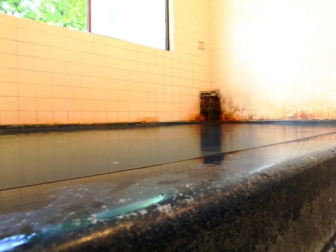 Ryokan Hakuraiso - Matsumoto