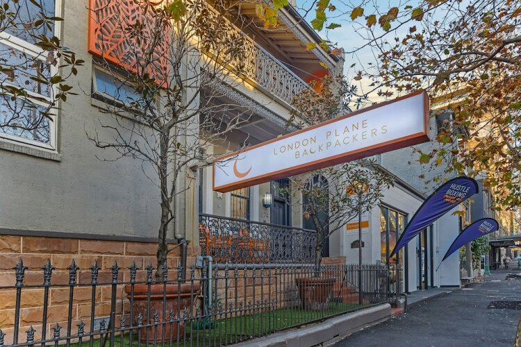 London Plane Backpackers - Hostel - Surry Hills