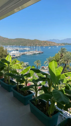 Mai Rooms Fethiye - Fethiye