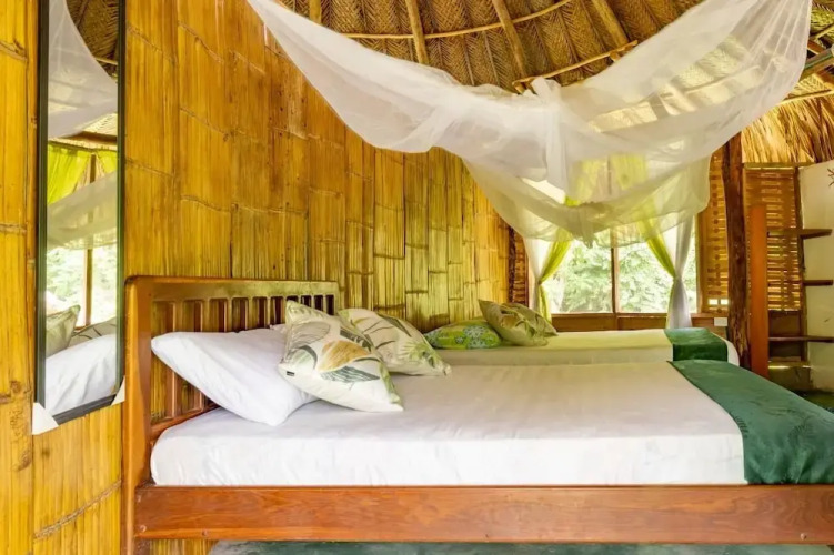 Magic Greeen Tayrona - Santa Marta