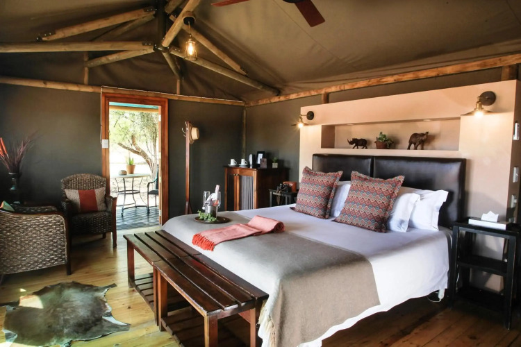 Buffelsdrift Game Lodge - Western Cape