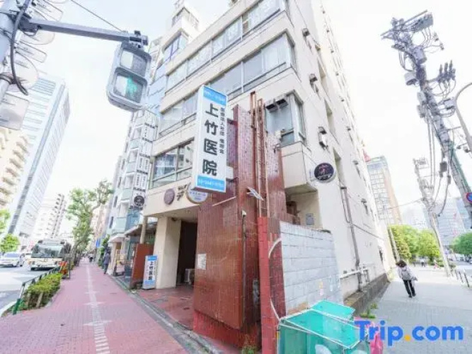 Near Shibuya&shinjuku/renovated 1ldk/central Tokyo - Kawasaki
