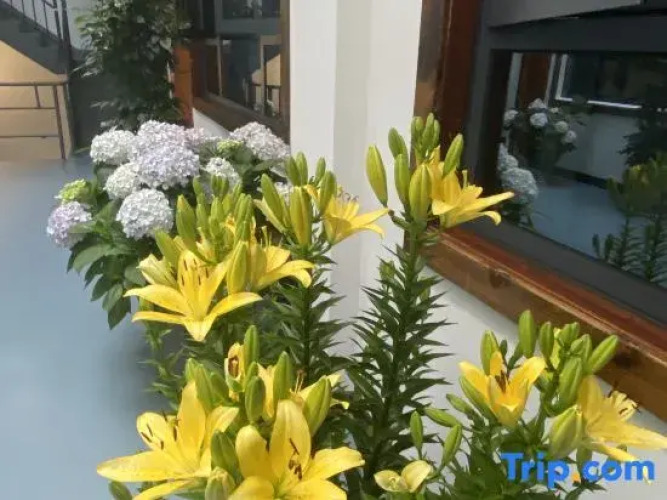 Zhangjiajie Borui Courtyard Hotel (Tianmen Mountain) - Zhangjiajie