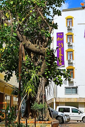 Otel Durkaya - Manavgat