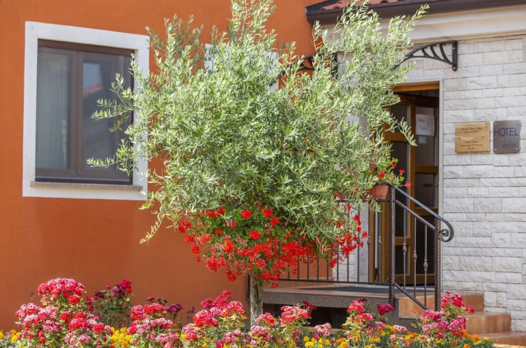 Hotel Natura - Istria