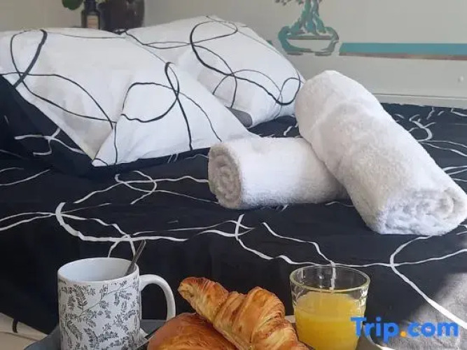 New Studio/near Airport Cdg/direct Paris Center/disneyland/villepinte Expo - Tremblay-en-France
