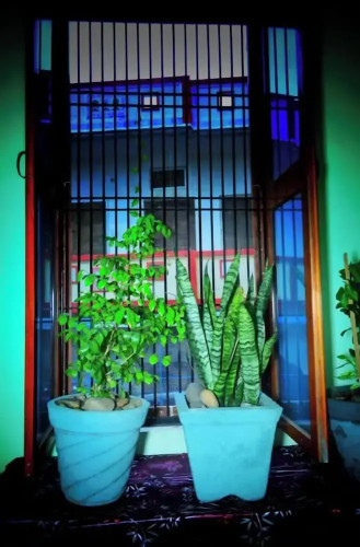 Nirmala Sadan Homestay Ayodhya - Ayodhya