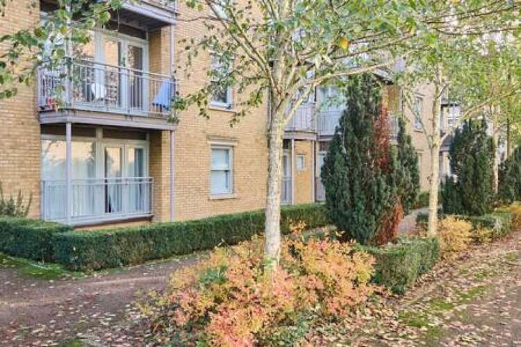 Host Stay Bingley Court - Canterbury
