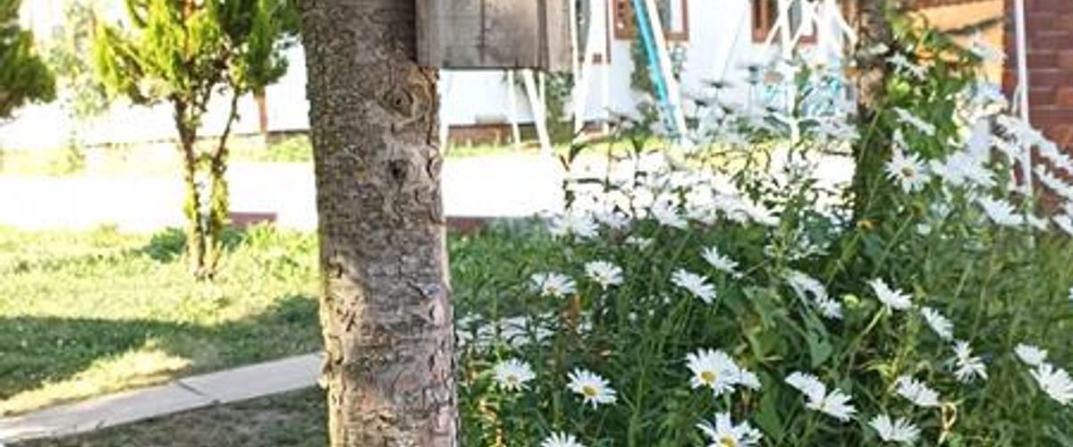 Doruk Garden Hotel Tokat - Ordu