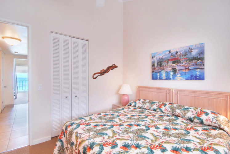 Napili Sunset On The Beach - Kapalua, HI