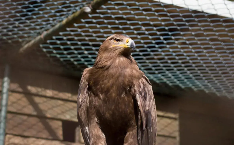 Reddoorz @ La Casa Guesthouse - Angeles