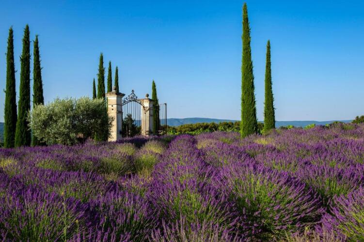 Coquillade Provence - Apt