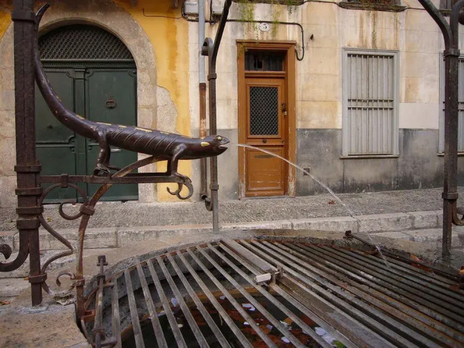 Alexander - Perpignan