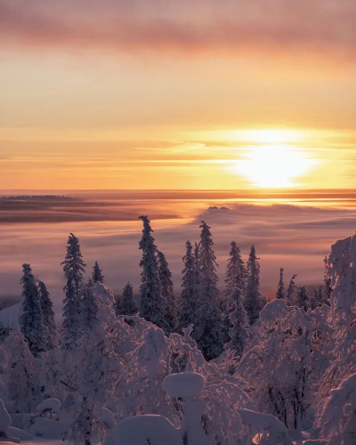 Gáldu Hotel & Spa - Lapland