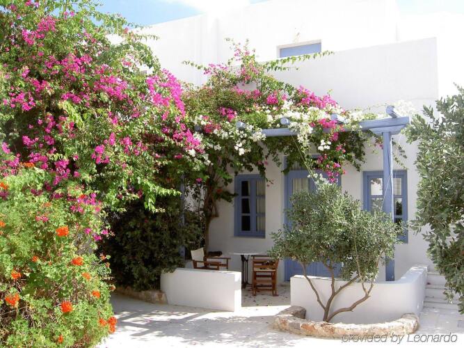 Meltemi Suites - Santorini