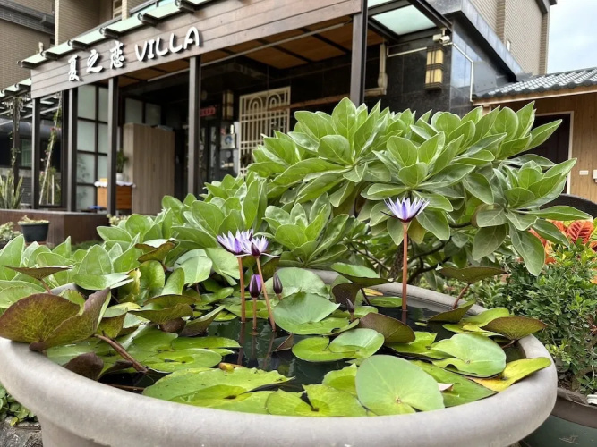 Summer Love Villa - 金寧鄉
